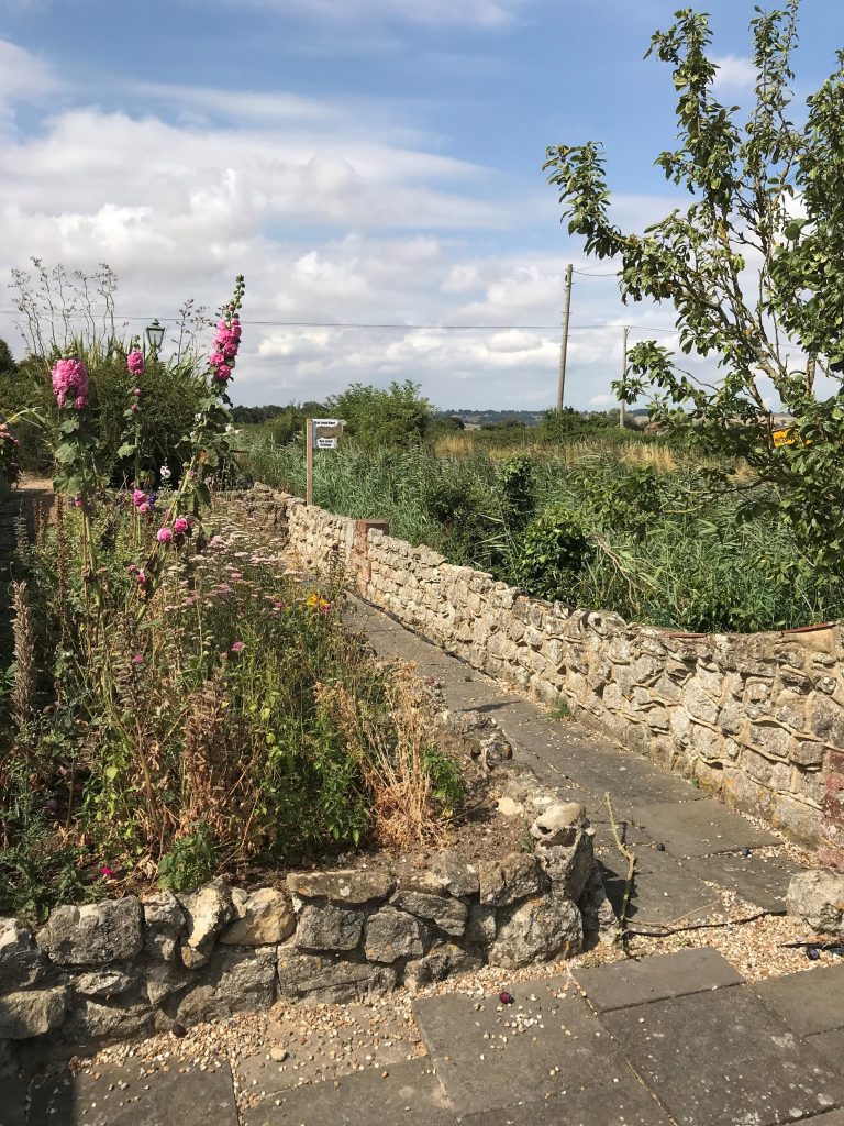 Gallery - Baa Lamb Cottage